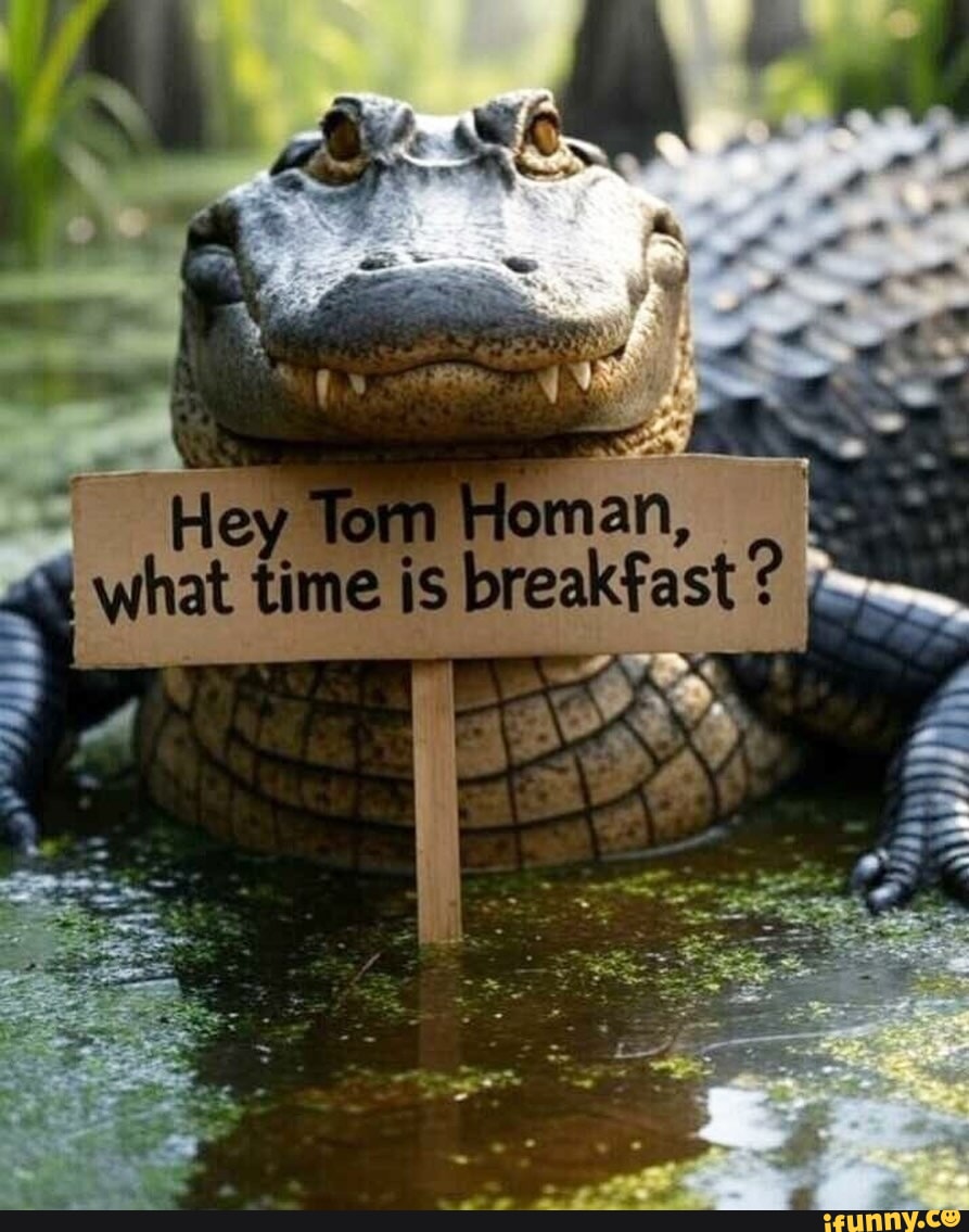 Alligator memes. Best Collection of funny Alligator pictures on iFunny