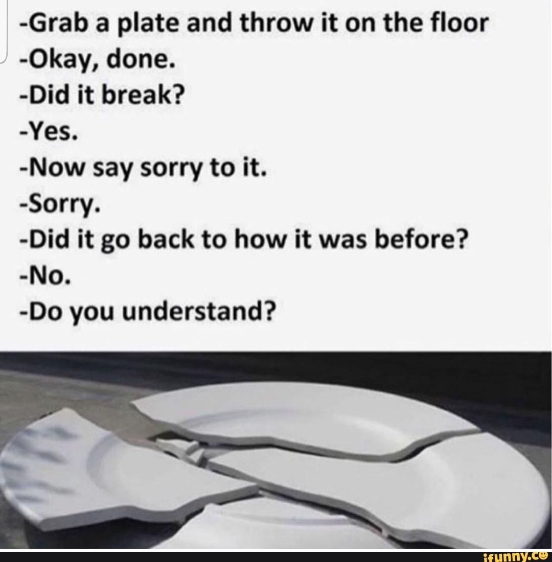 -Grab a plate and throw it on the floor -Okay, done. -Did it break ...