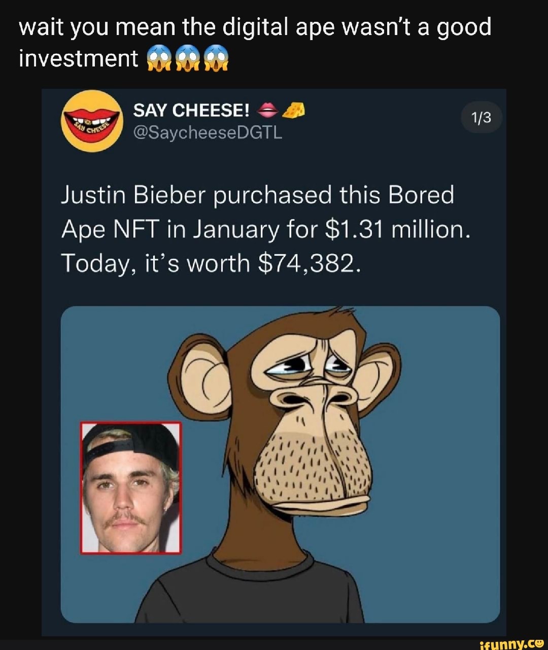 Wait you mean the digital ape wasn't a good investment SAY CHEESE ...