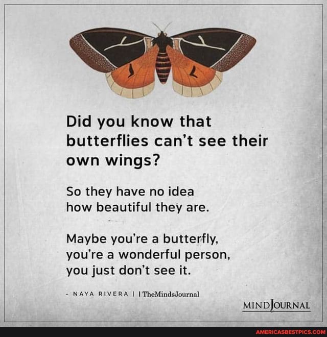 Did you know that butterflies can't see their own wings? So they have ...