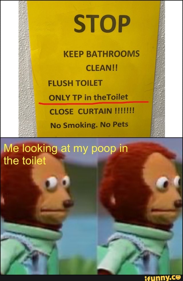 Thetoilet memes. Best Collection of funny Thetoilet pictures on iFunny