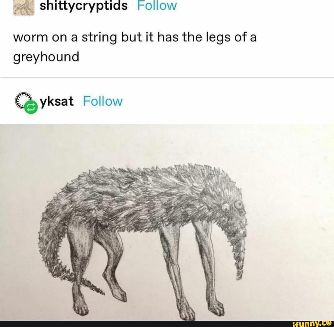Greyhound memes. Best Collection of funny Greyhound pictures on iFunny