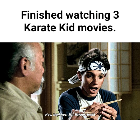 Karate Kid Movie Meme