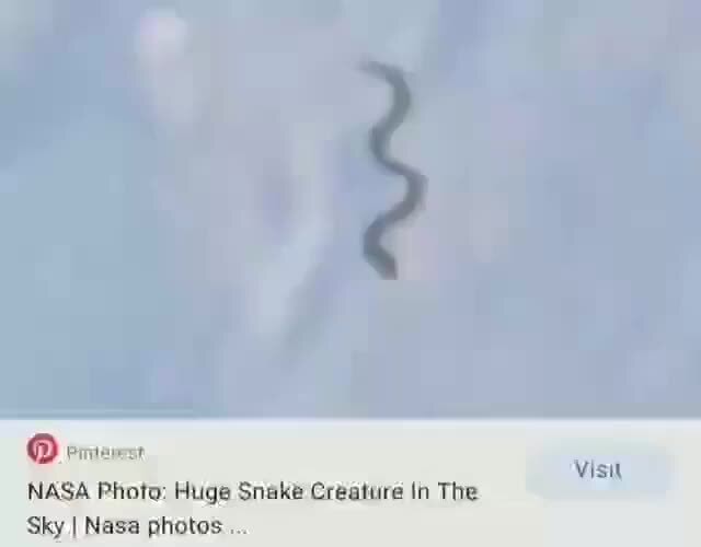 Nasa Snake