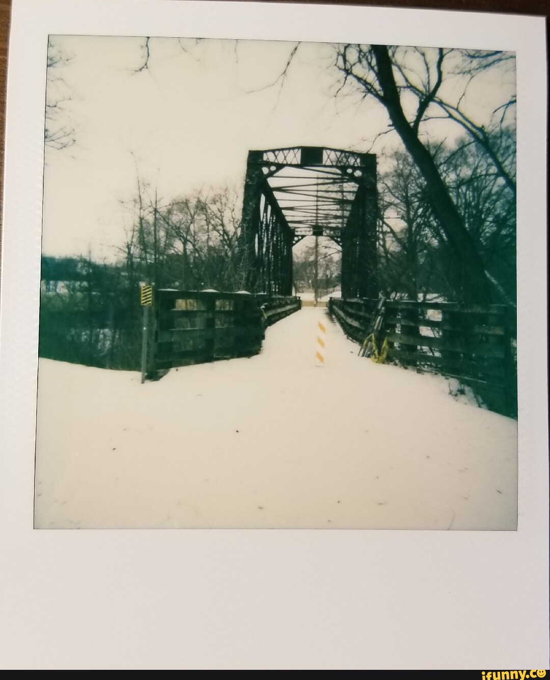 Polaroid memes. Best Collection of funny Polaroid pictures on iFunny