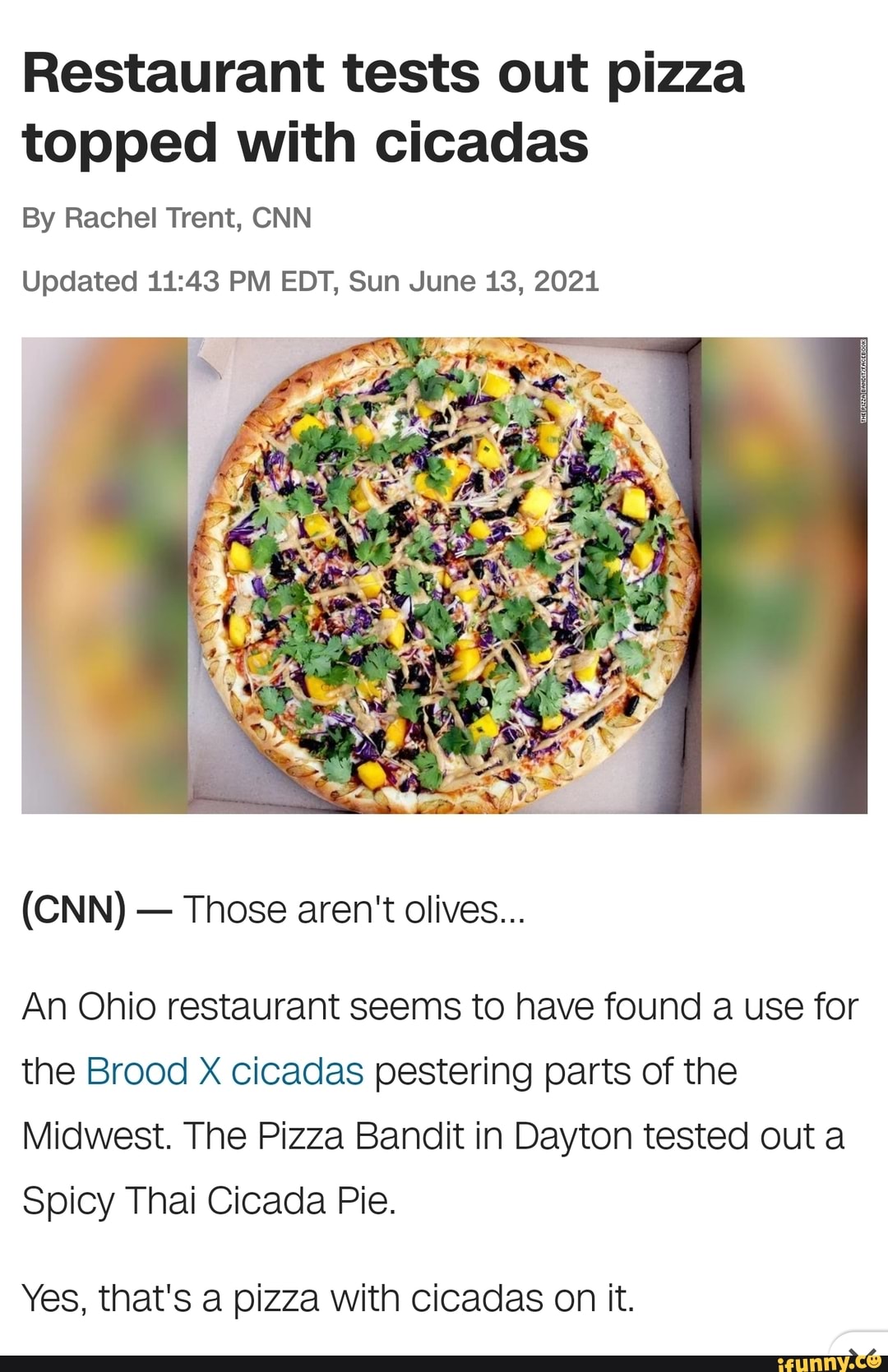 Restaurant tests out pizza topped with cicadas By Rachel Trent, CNN ...