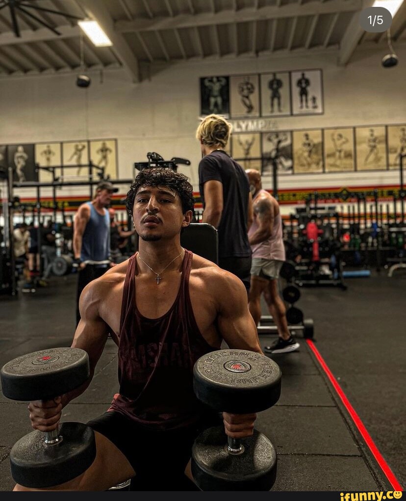 Sere memes. Best Collection of funny Sere pictures on iFunny