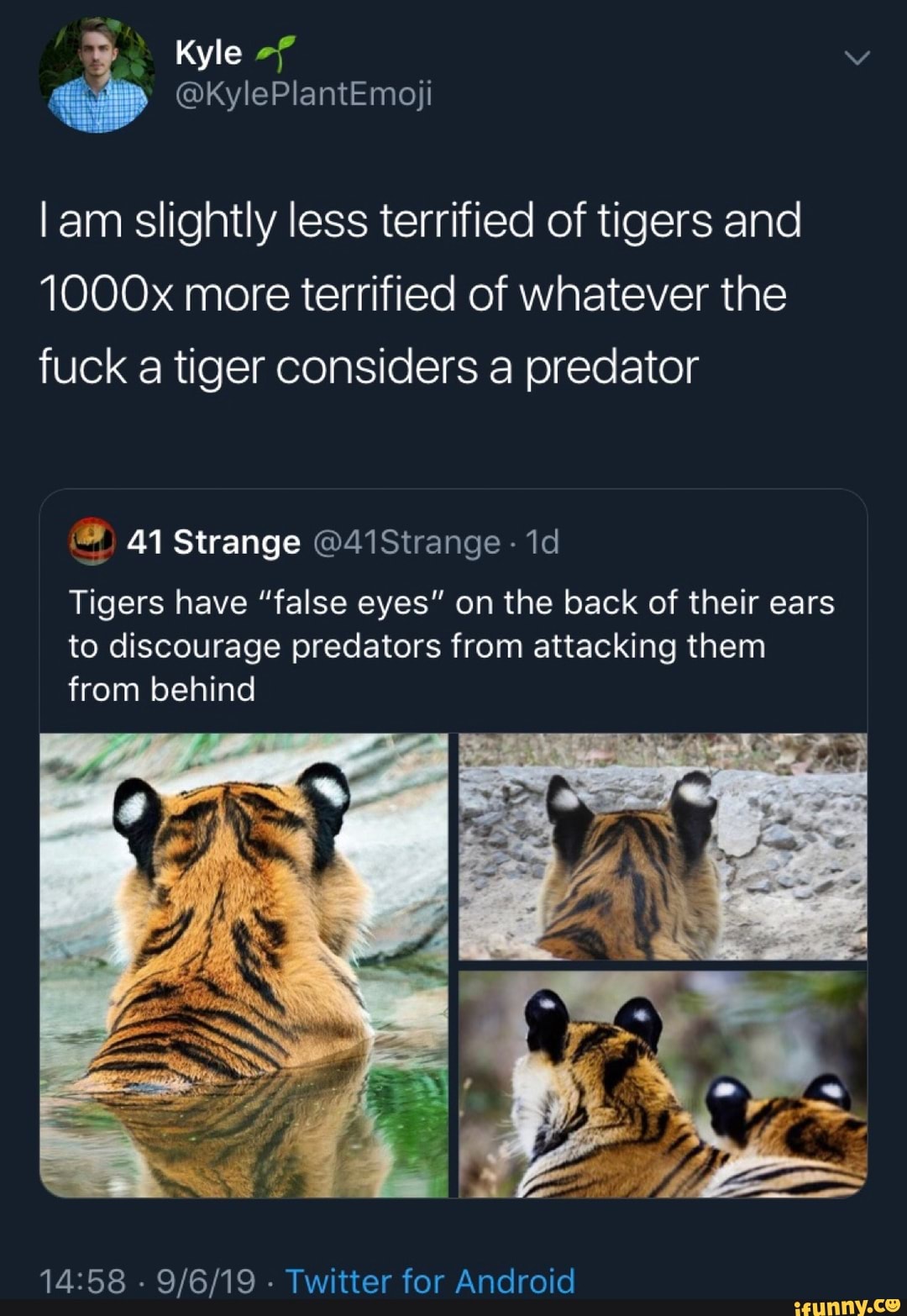 I am slightly less terrified of tigers and ’IOOOx more terrified of ...