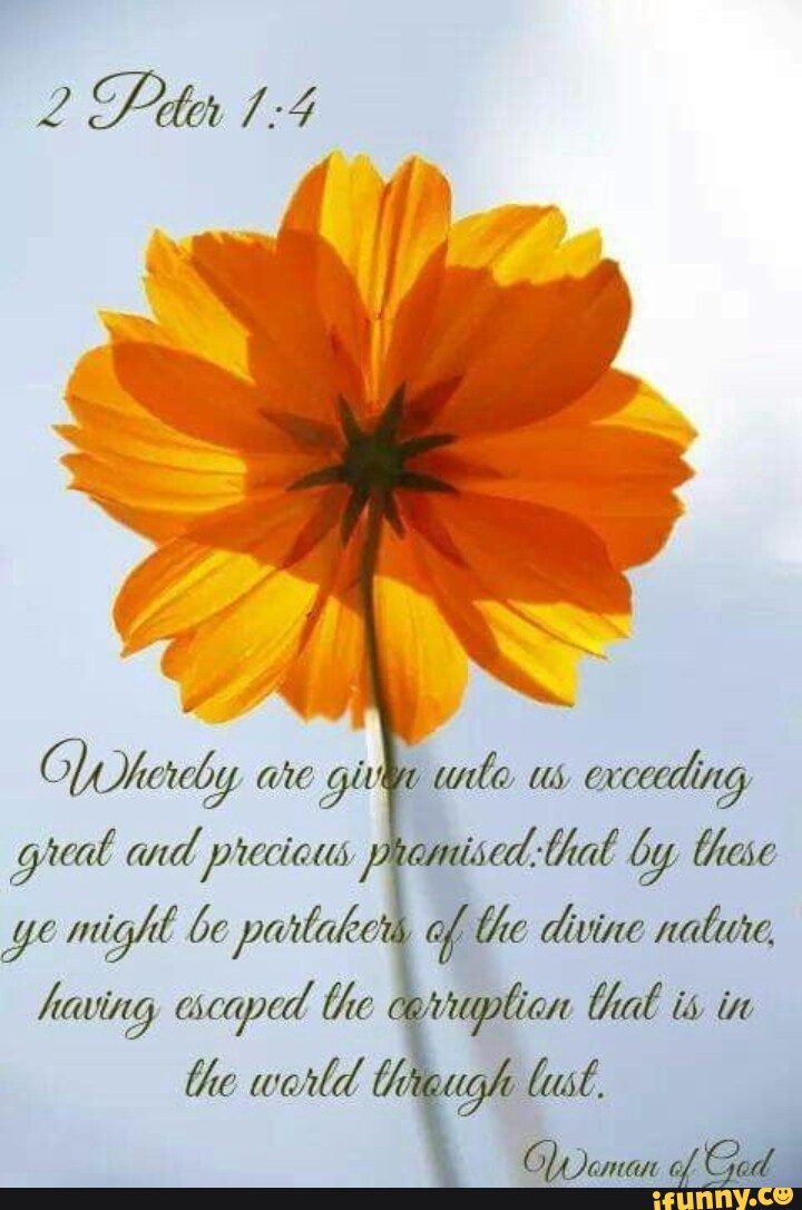 Ascaped memes. Best Collection of funny Ascaped pictures on iFunny