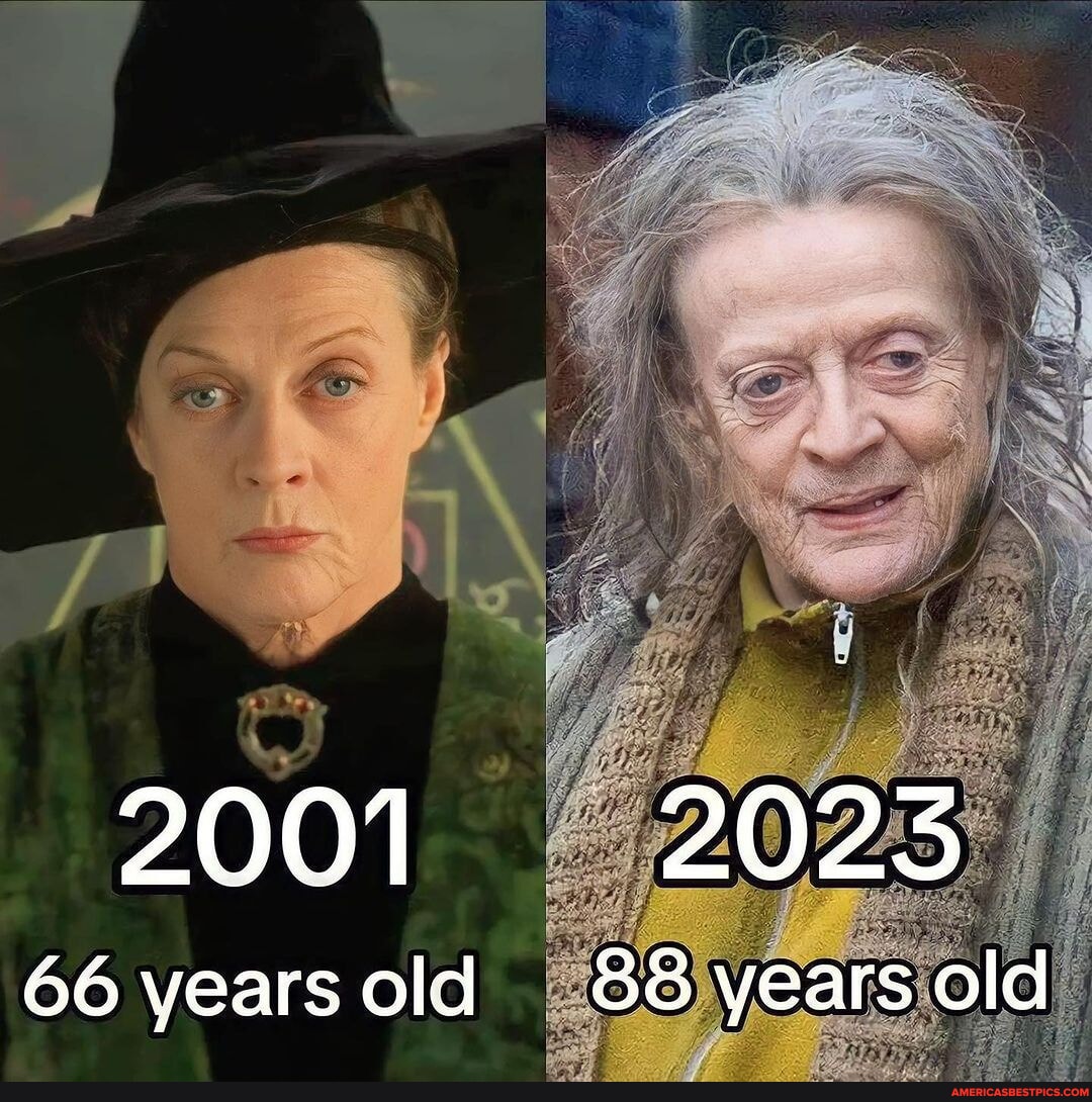 Dame Maggie Smith harrypotter hogwarts potterhead ronweasley quidditch ...