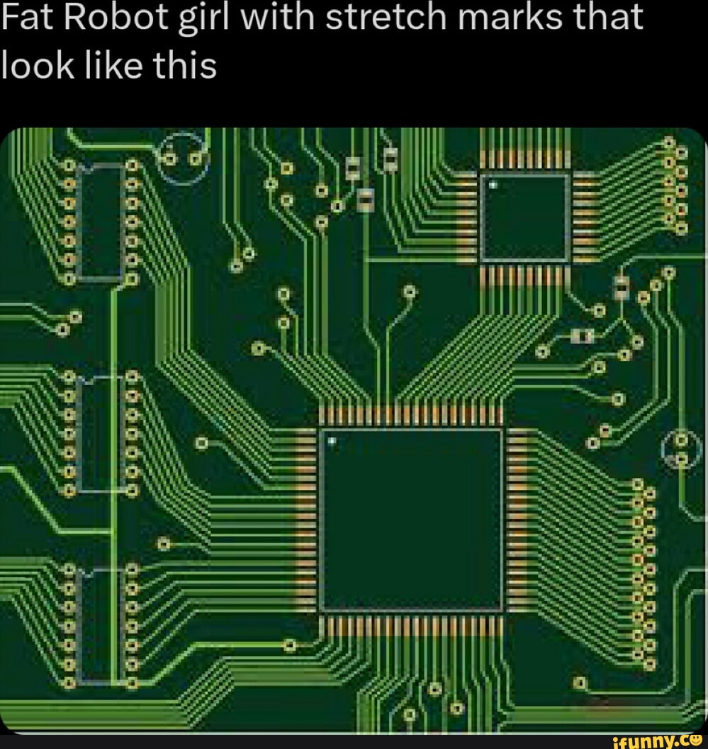 Fat Robot girl witn stretch marks that look like this - iFunny