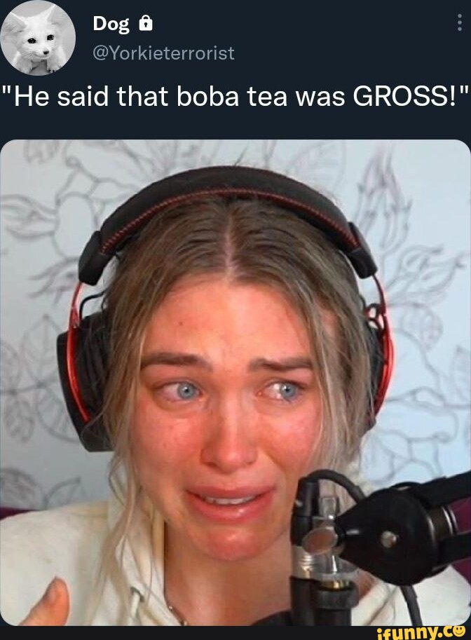 Dog @Yorkieterrorist "He said that boba tea was GROSS!" - iFunny