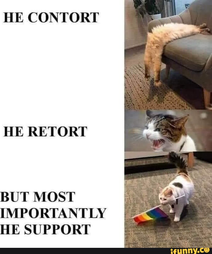 Retort memes. Best Collection of funny Retort pictures on iFunny