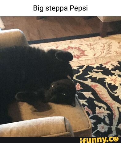 Steppa memes. Best Collection of funny Steppa pictures on iFunny