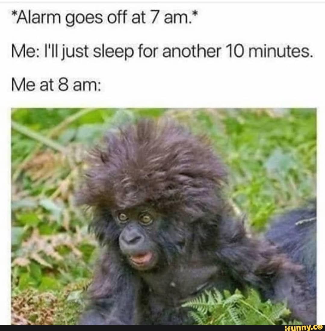 #memes #funny #dank_memes #viral - *Alarm goes off at 7 am.* Me: I'll ...