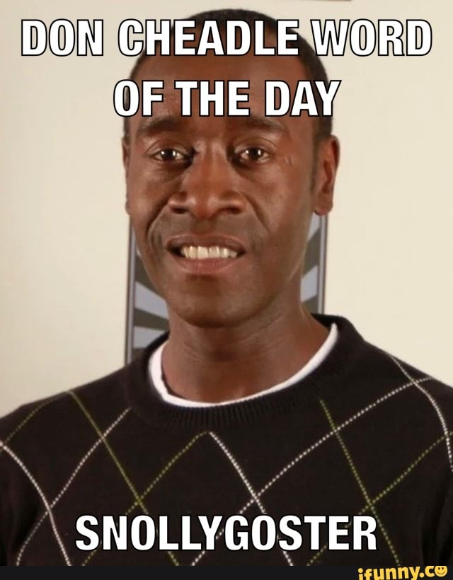 DON CHEADLE WORD OF THE DAY SNOLLYGOSTER - iFunny