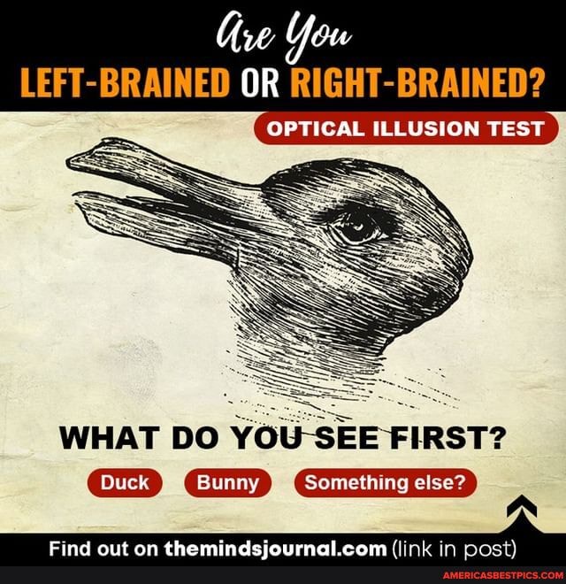 You LEFT-BRAINED OR RIGHT-BRAINED? OPTICAL ILLUSION TEST WHAT DO YOU ...