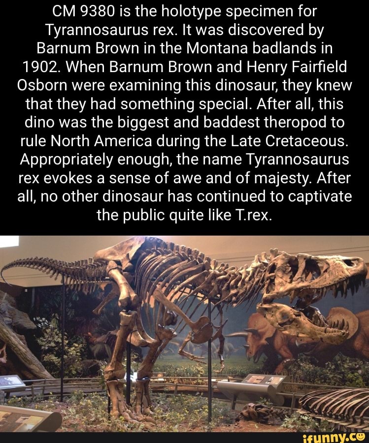 CM 9380 is the holotype specimen for Tyrannosaurus rex. It was ...