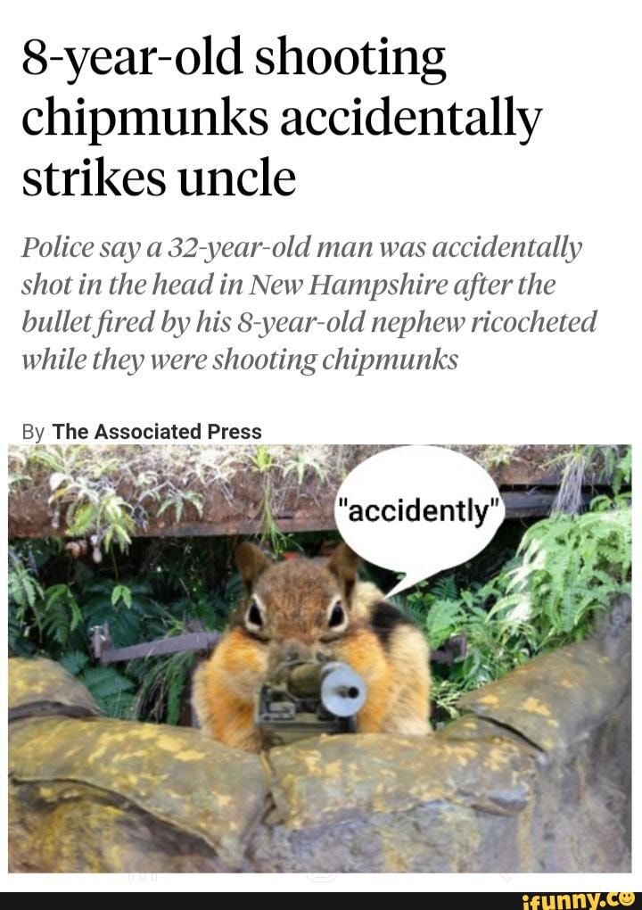 Chipmunk Hunt Goes Wrong - 8-year-old shooting chipmunks accidentally ...