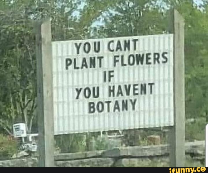 Puns & Dad Jokes memes memes. The best memes on iFunny
