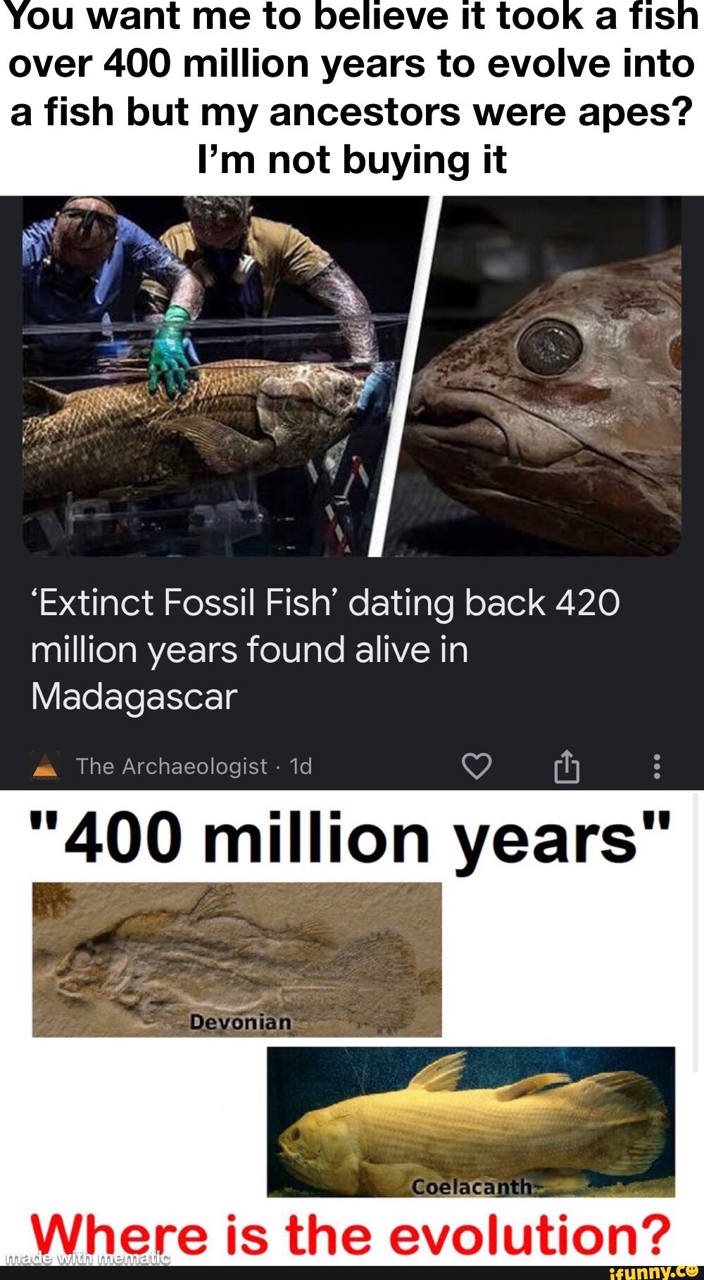 EA lampsarepeopletoo Meet Pickles, aka "Catasaurus Rex." He was rescued ...