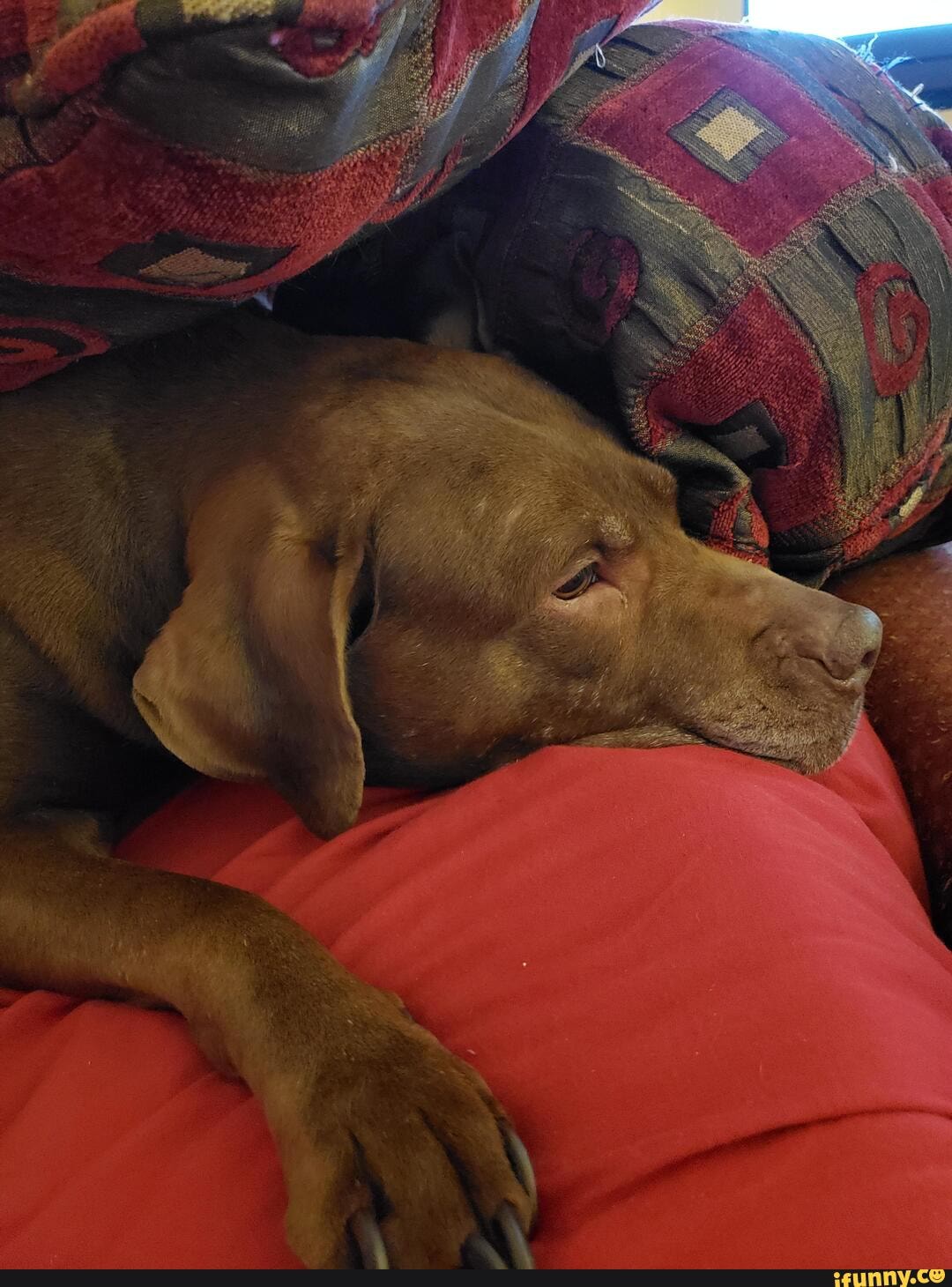 Skeered memes. Best Collection of funny Skeered pictures on iFunny