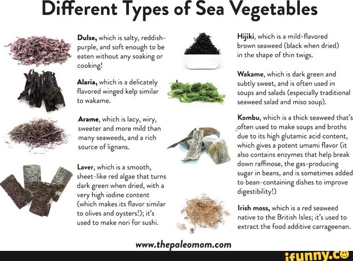 Different Types of Sea Vegetables Dulse, which is salty, reddish ...