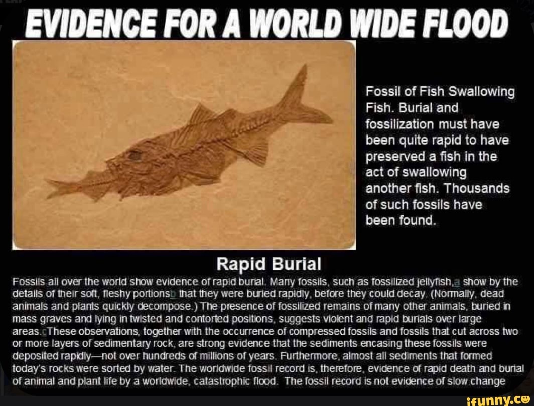 Fossilization Memes Best Collection Of Funny Fossilization Pictures On Ifunny