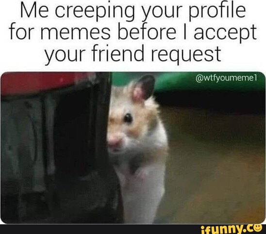 Accept memes. Best Collection of funny Accept pictures on iFunny