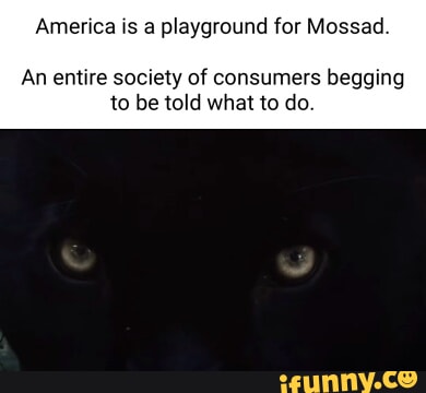 Mossad memes. Best Collection of funny Mossad pictures on iFunny
