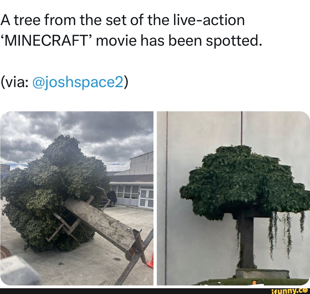A tree from the set of the live-action 'MINECRAFT' movie has been ...