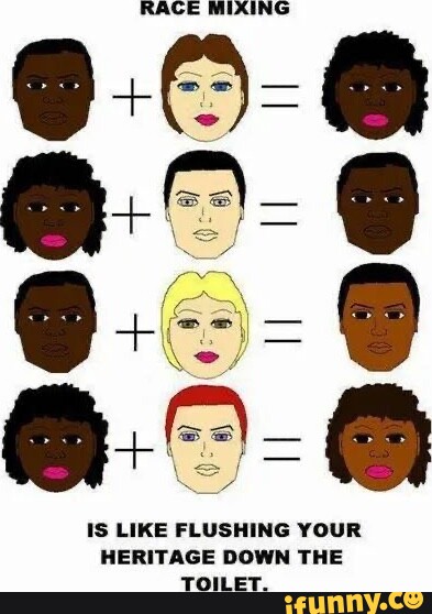 RACE MIXING IS LIKE FLUSHING YOUR HERITAGE DOWN THE TOILET. - iFunny