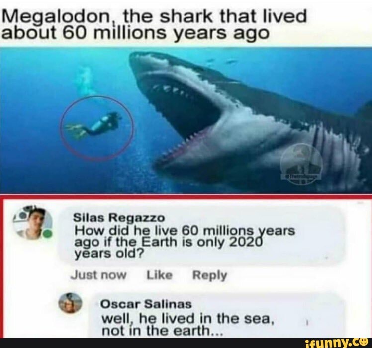 Megalodon memes. Best Collection of funny Megalodon pictures on iFunny