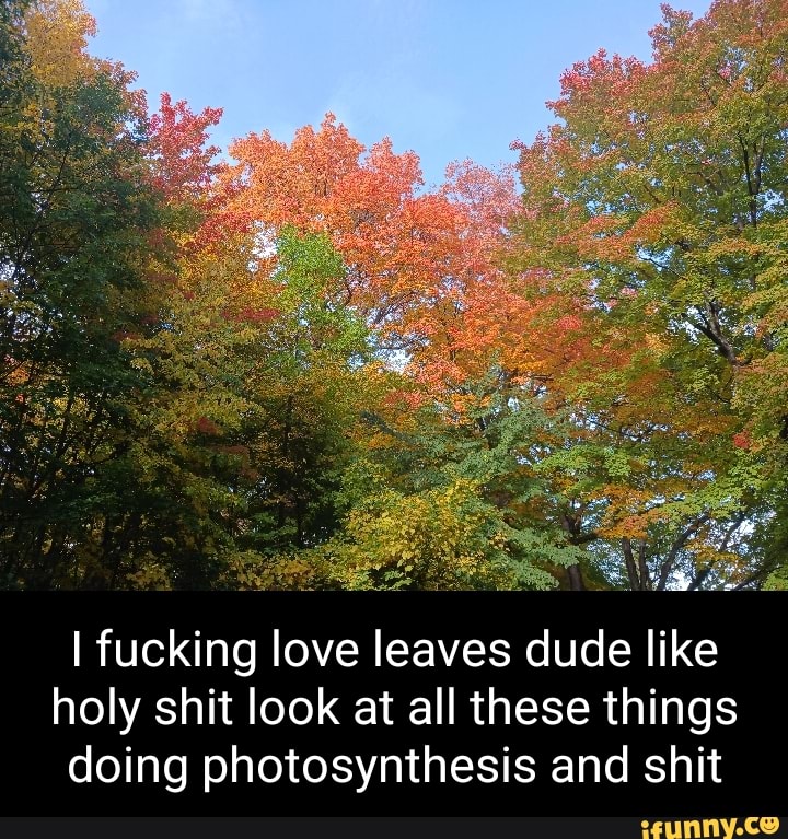 Photosynthesis memes. Best Collection of funny Photosynthesis pictures ...
