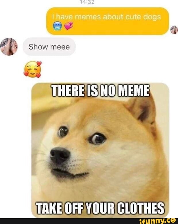 I have memes about cute dogs Show meee THERE IS NO MEME 'TAKE OFF OFF ...
