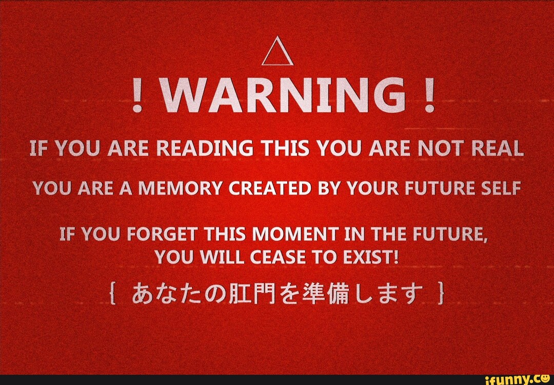WARNING ! IF YOU ARE READING THIS YOU ARE NOT REAL YOU ARE A MEMORY ...