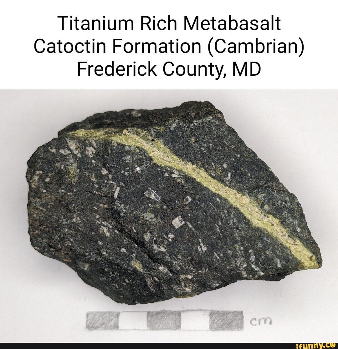 Catoctin memes. Best Collection of funny Catoctin pictures on iFunny