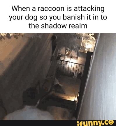 Banish memes. Best Collection of funny Banish pictures on iFunny