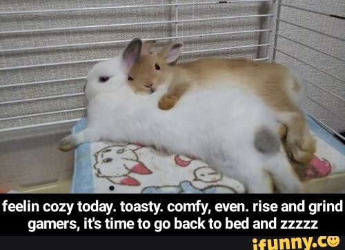 Zzzzz memes. Best Collection of funny Zzzzz pictures on iFunny