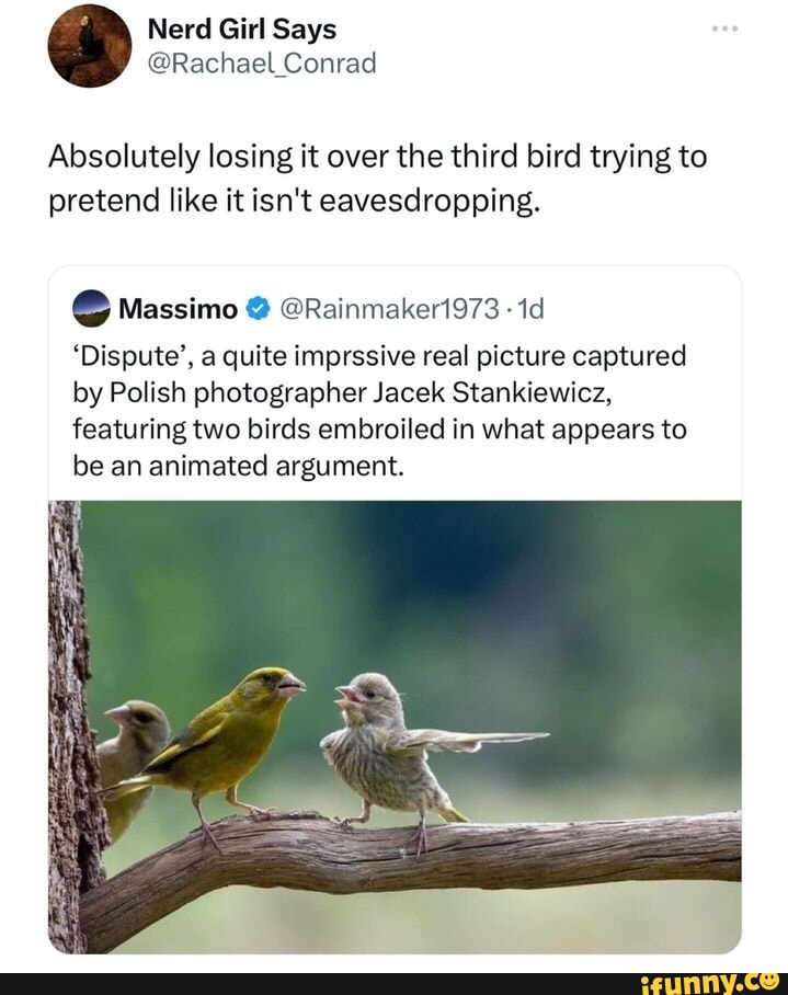 Eavesdropping memes. Best Collection of funny Eavesdropping pictures on ...