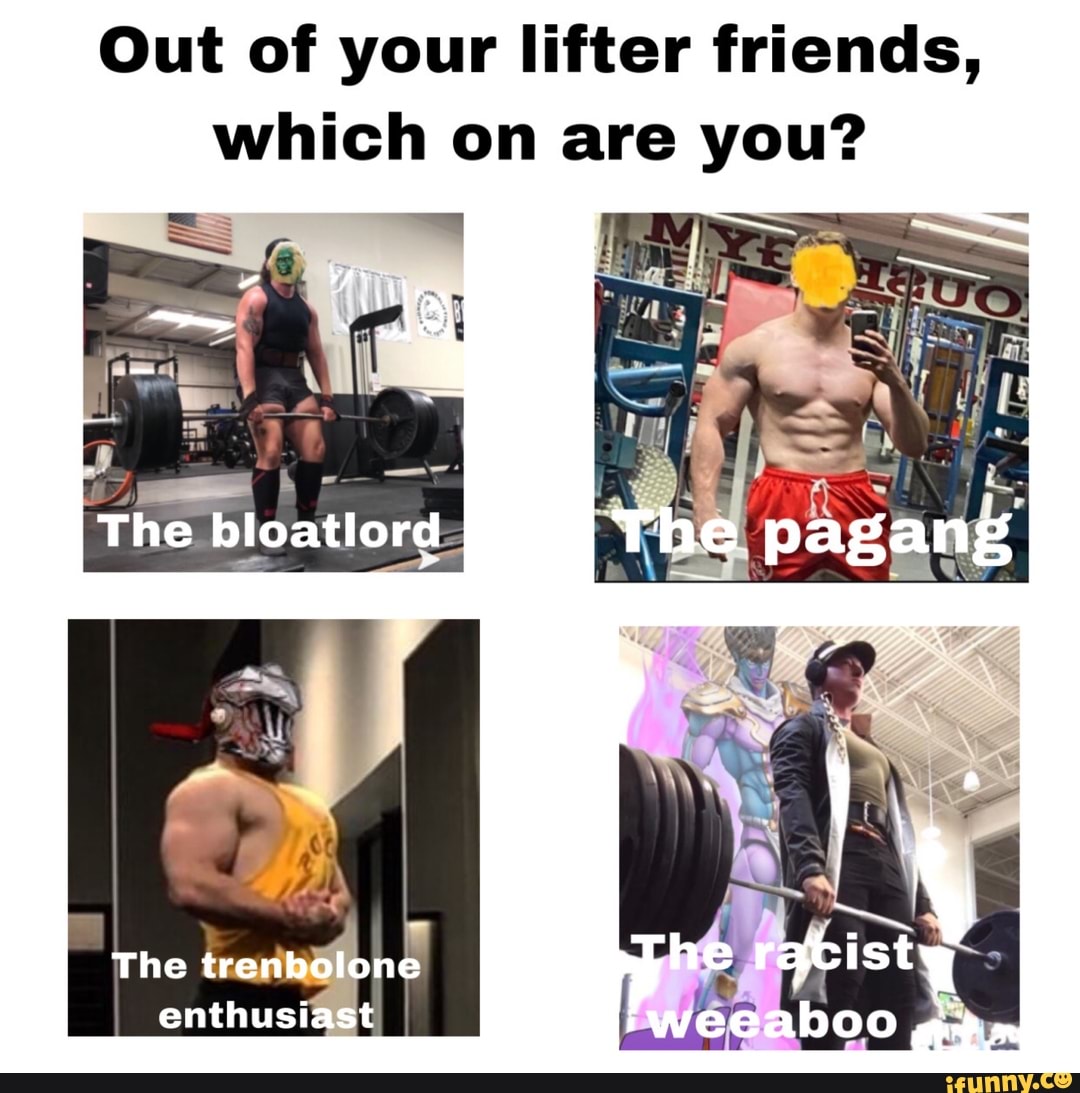Out of your lifter friends, which on are you? The bloatlord The ...