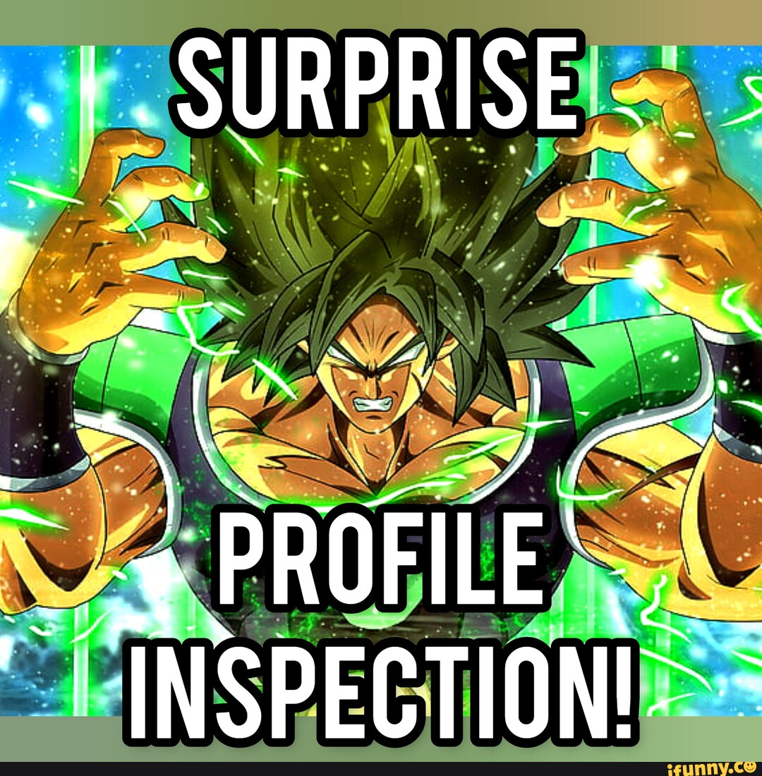SURPRISE INSPECTION! - iFunny