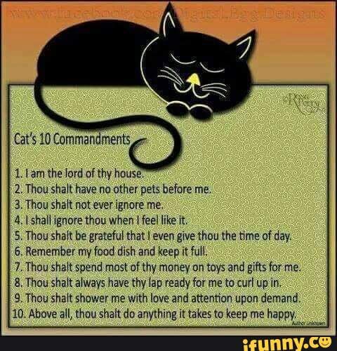 Cat's 10 Commandments 1.1 am the lord of thy house. 2. Thou shalt have ...