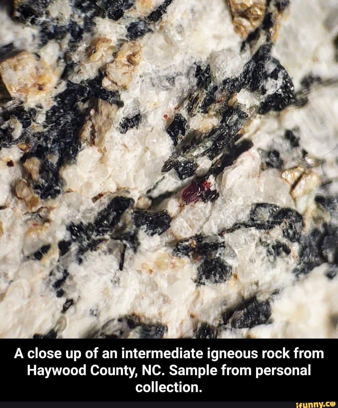 A close up of an intermediate igneous rock from Haywood County, NC ...