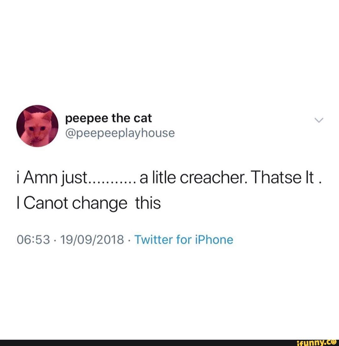 Peepee the cat @peepeeplayhouse i Amn just........... a litle creacher ...