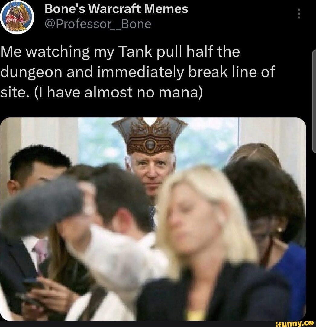 Bone's Warcraft Memes "Professor Bone Me watching my Tank pull half the ...