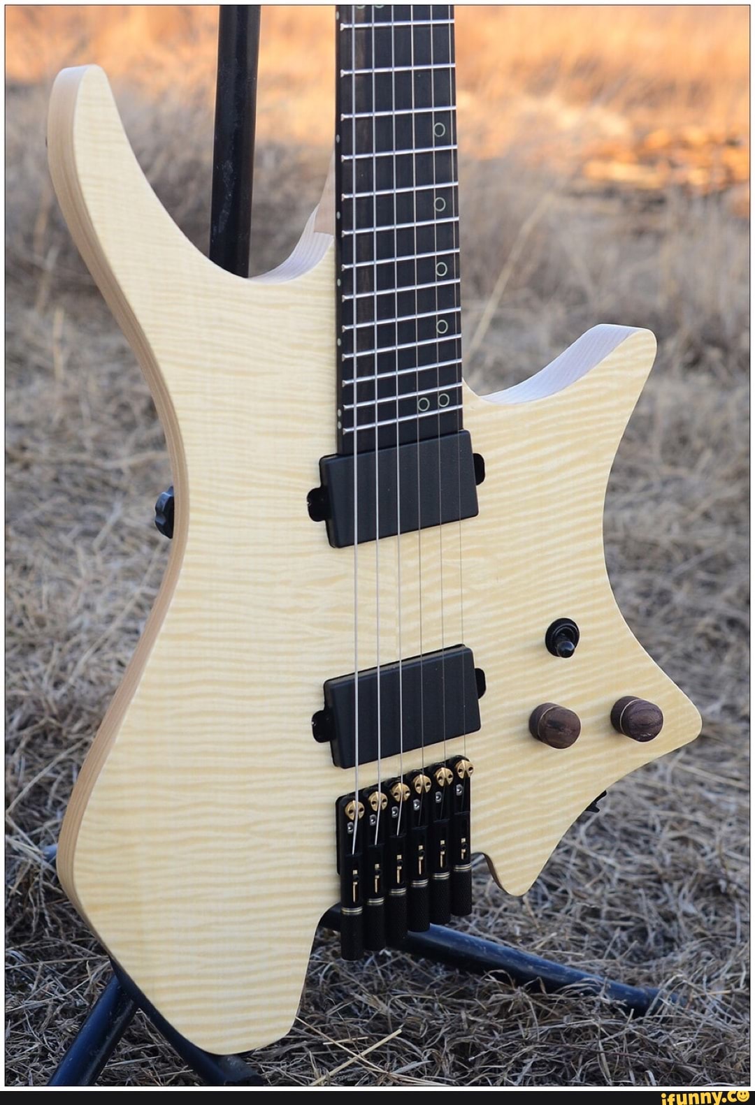 Strandberg memes. Best Collection of funny Strandberg pictures on iFunny