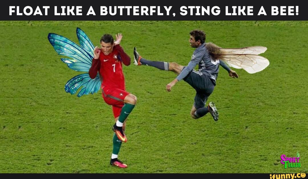 FLOAT LIKE A BUTTERFLY, STING LIKE A BEE! - iFunny