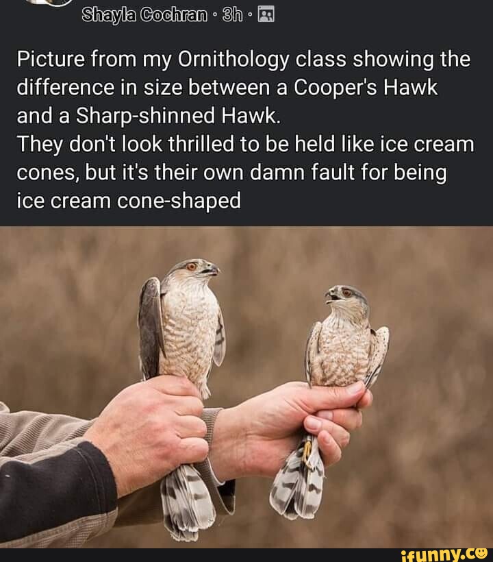 Picture from my Ornithology class showing the difference in size ...