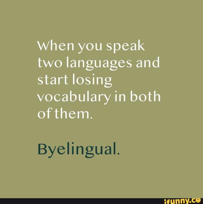 Bye bye... - When you speak two languages and start losing vocabulary ...